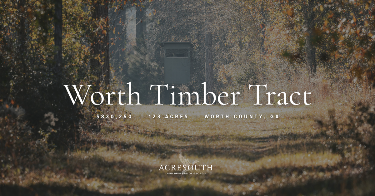 Worth Timber Tract – 123 Acres of South Georgia Land