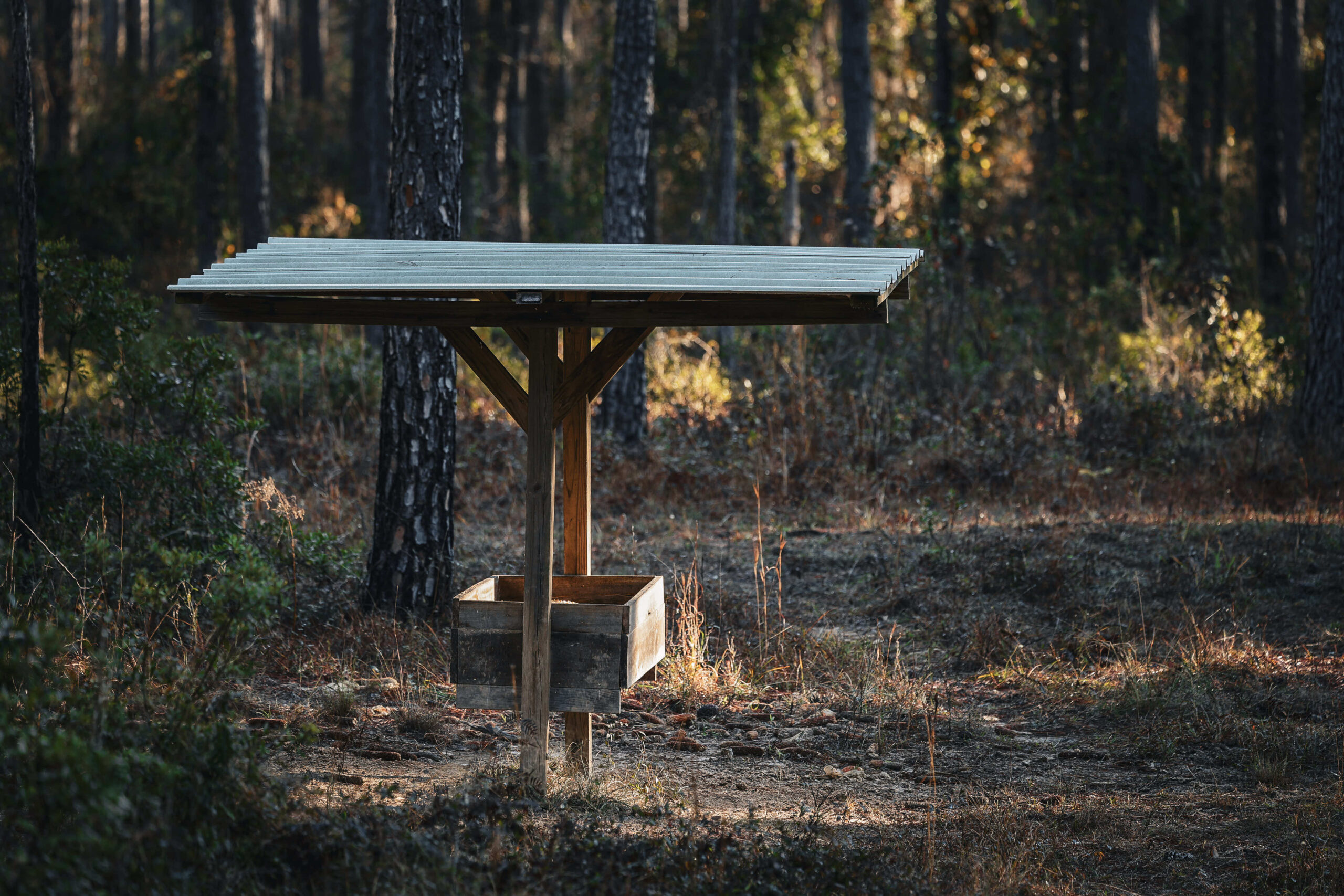Worth Timber Tract – 123 Acres of South Georgia Land