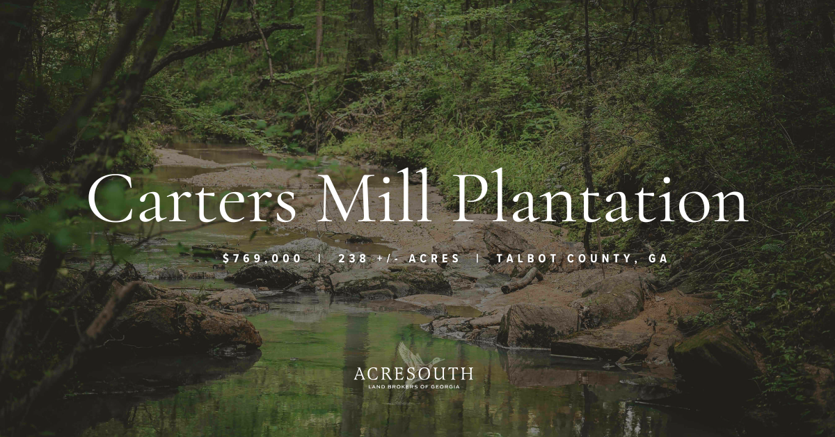 Carters Mill Plantation: 238 Acres Available in Talbot County, GA